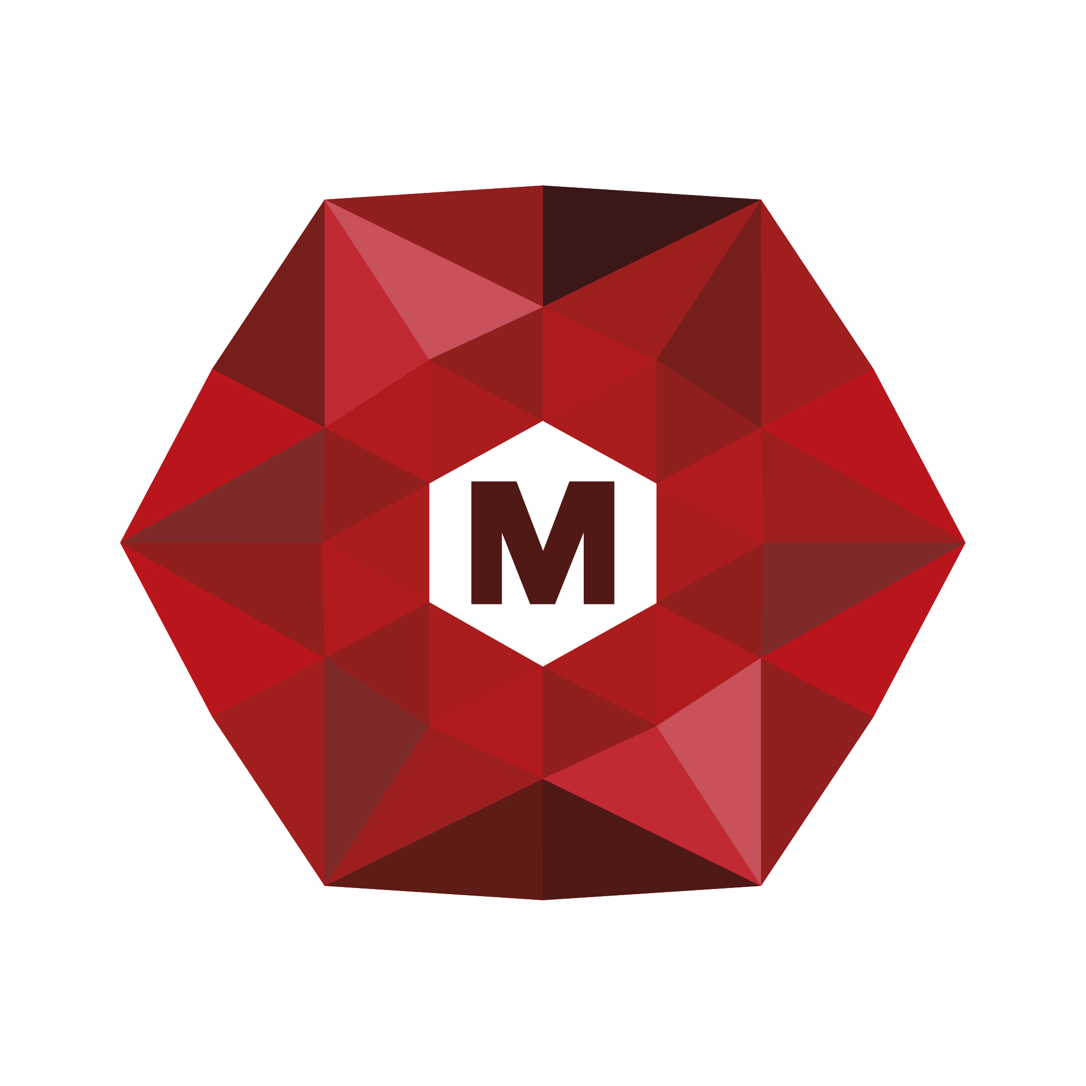 Professionnels - MAMS® Computers